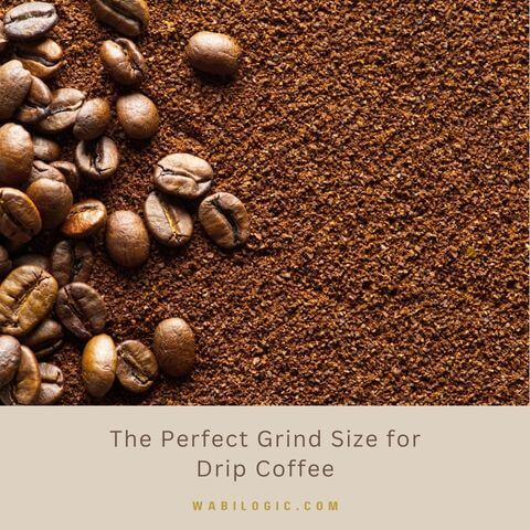 The Perfect Grind Size for Drip Coffee