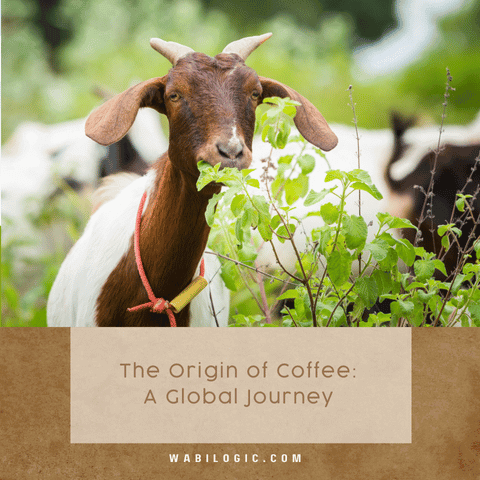 The Origin of Coffee: A Global Journey