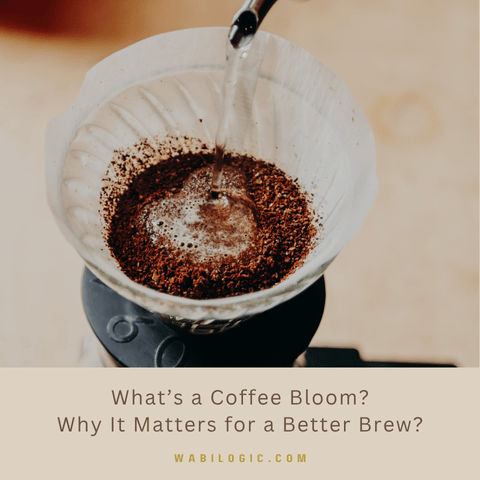What’s a Coffee Bloom? Why It Matters for a Better Brew?